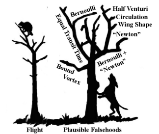 Understanding Flight – Fact not Fiction. The Truth. Finally.