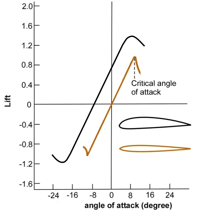 Misconception #2 – Wing Shape Importance – Understanding Flight